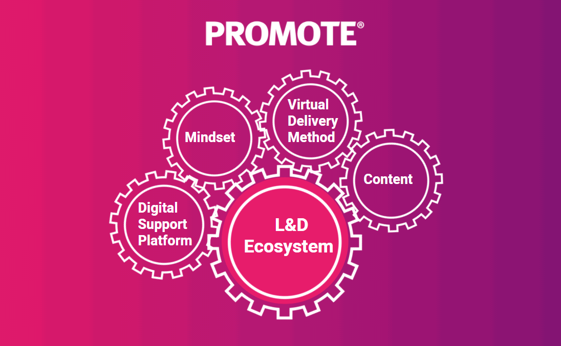 Creating a Sustainable Learning & Development Ecosystem? - Promote ...